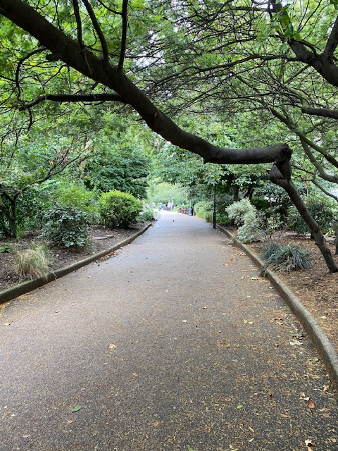 Bus route 68 – london routemistress